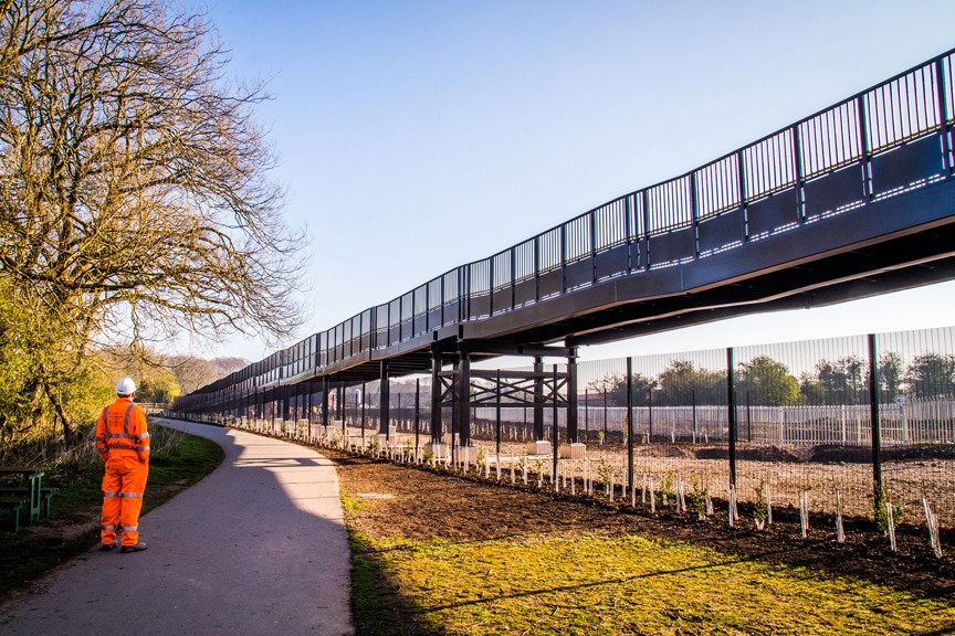 Biodiversity Net Gain at Kings Mill Equestrian Bridge | AmcoGiffen